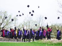 iBEST Institute Launches Innovative Online Learning Platform | The ...