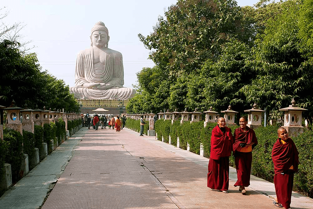 India's Enduring Connection to Buddhism | The Bhutan Live