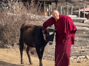 DISCOVER BHUTAN: The Dungkar Dzong in Pangbisa | The Bhutan Live