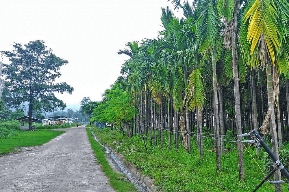 Samrang Sets Sights on Eco-Tourism Boom | The Bhutan Live