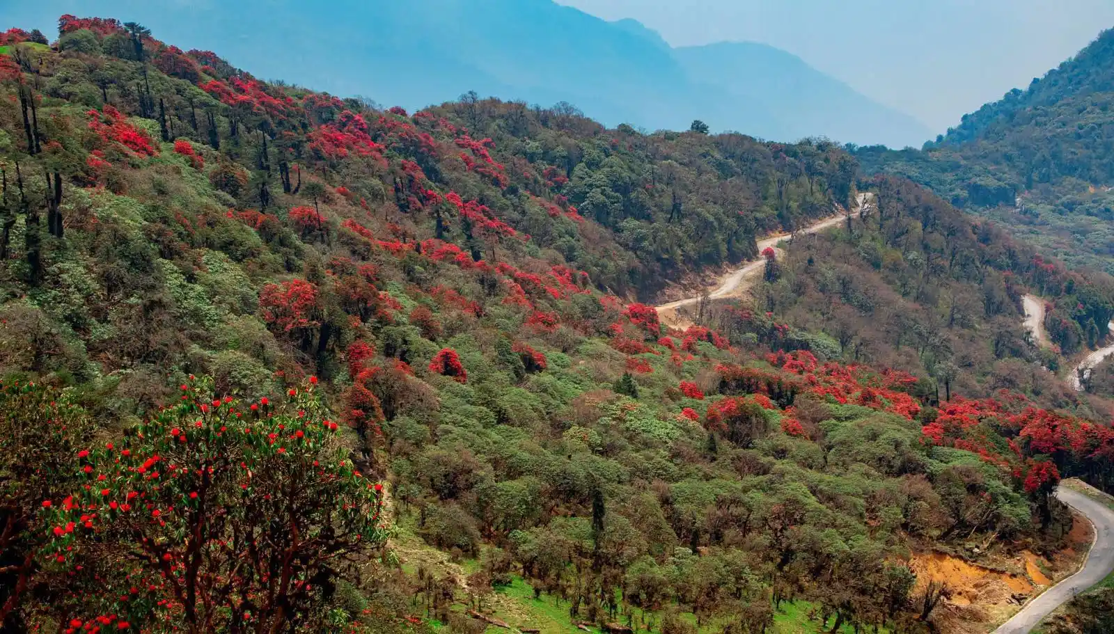 High Value, Low Impact: Tergola Redefines Eco-Tourism | The Bhutan Live
